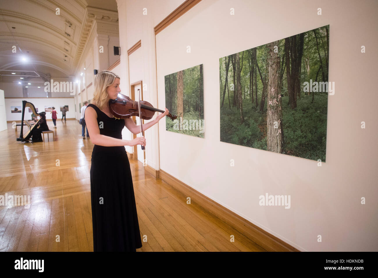 Music and Art: Glain Dafydd: Harp, Lowri Thomas : violin , Chloe ...