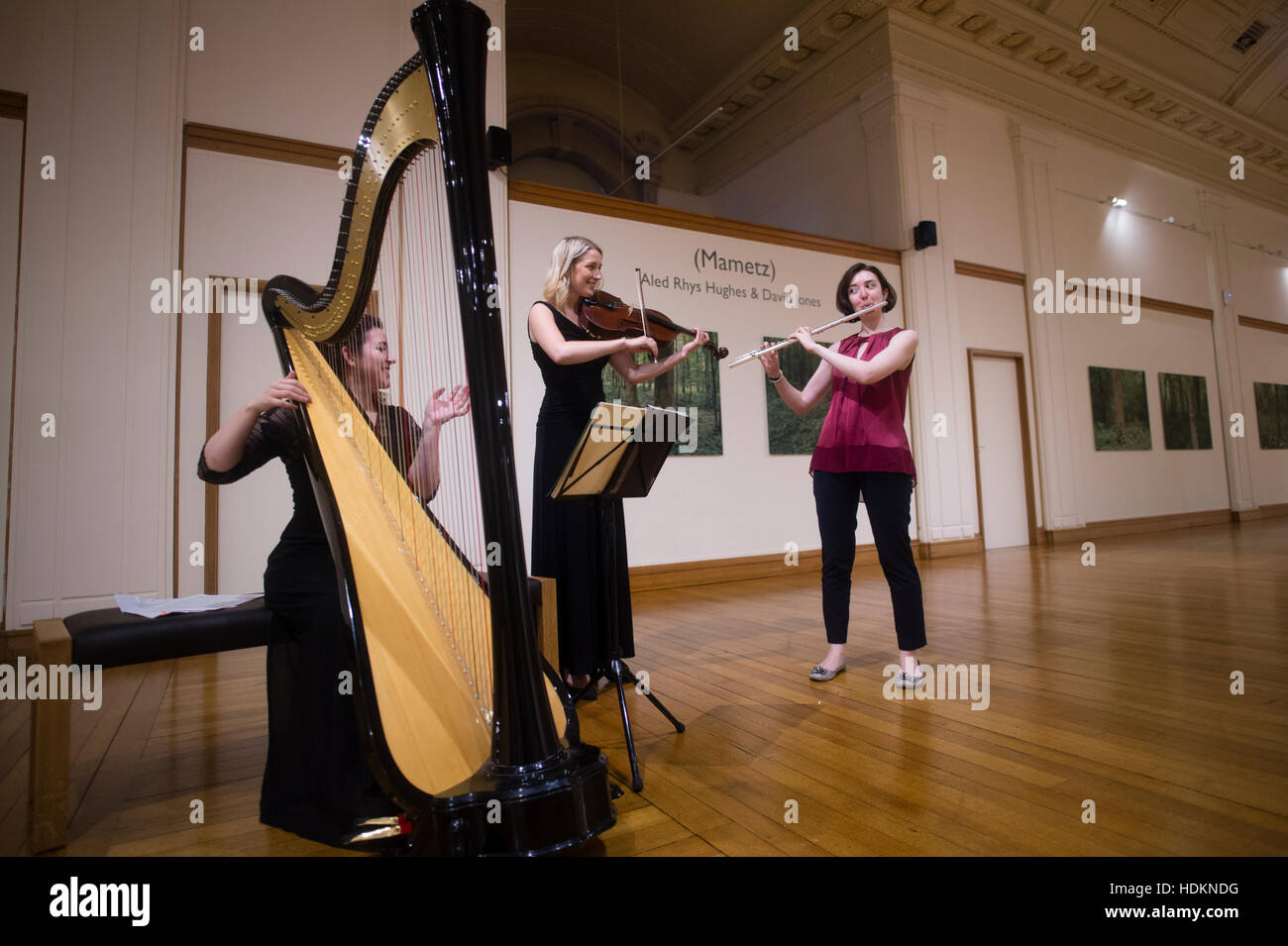 Music and Art: Glain Dafydd: Harp, Lowri Thomas : violin , Chloe ...