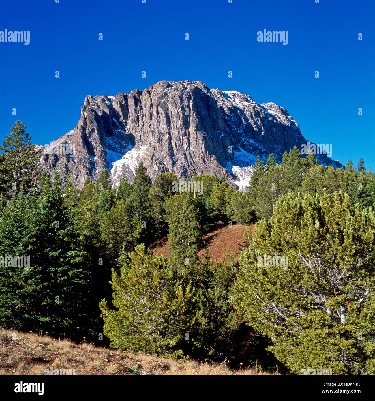 black butte in the gravelly range of southwest montana Stock Photo - Alamy