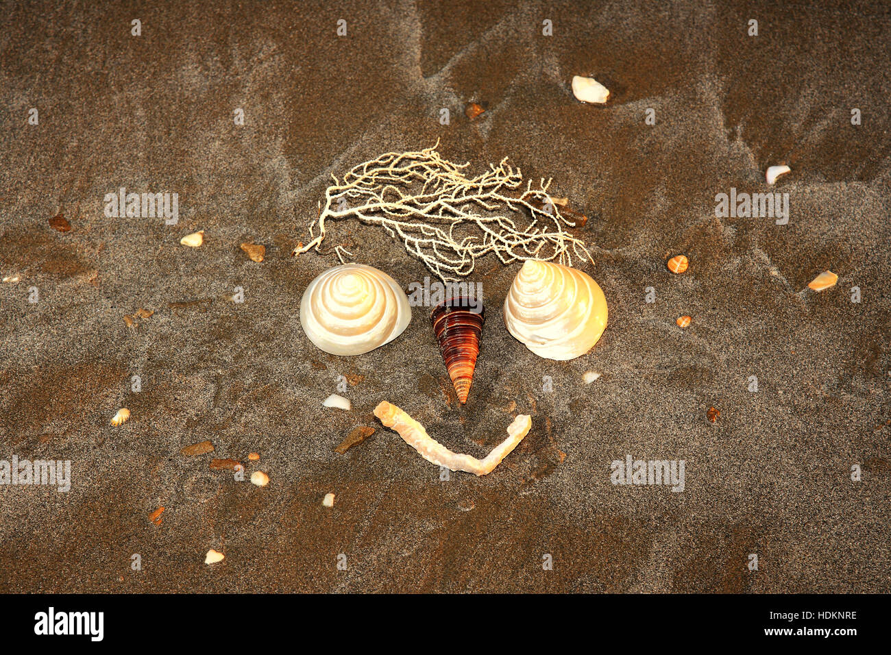 face made from shells on a beach Stock Photo - Alamy