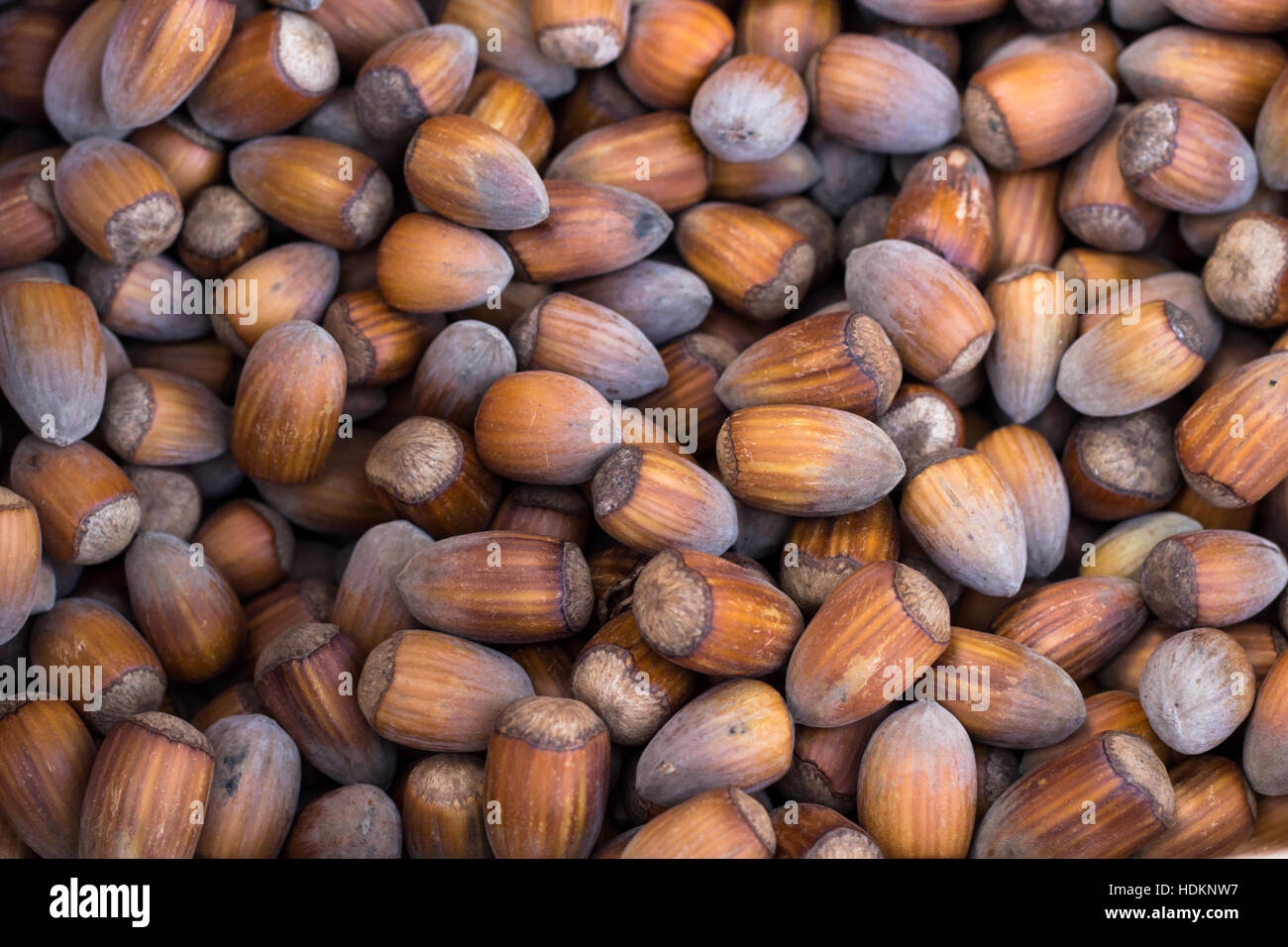 Walnut hazelnuts hi-res stock photography and images - Alamy