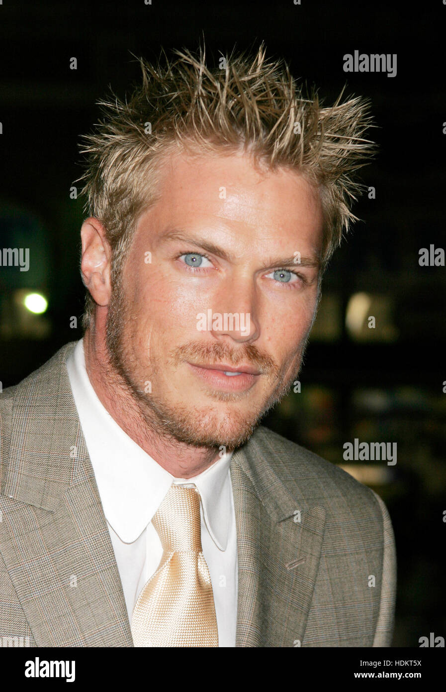 Jason Lewis at the premiere of the film, 'Alexander'' at Grauman's ...