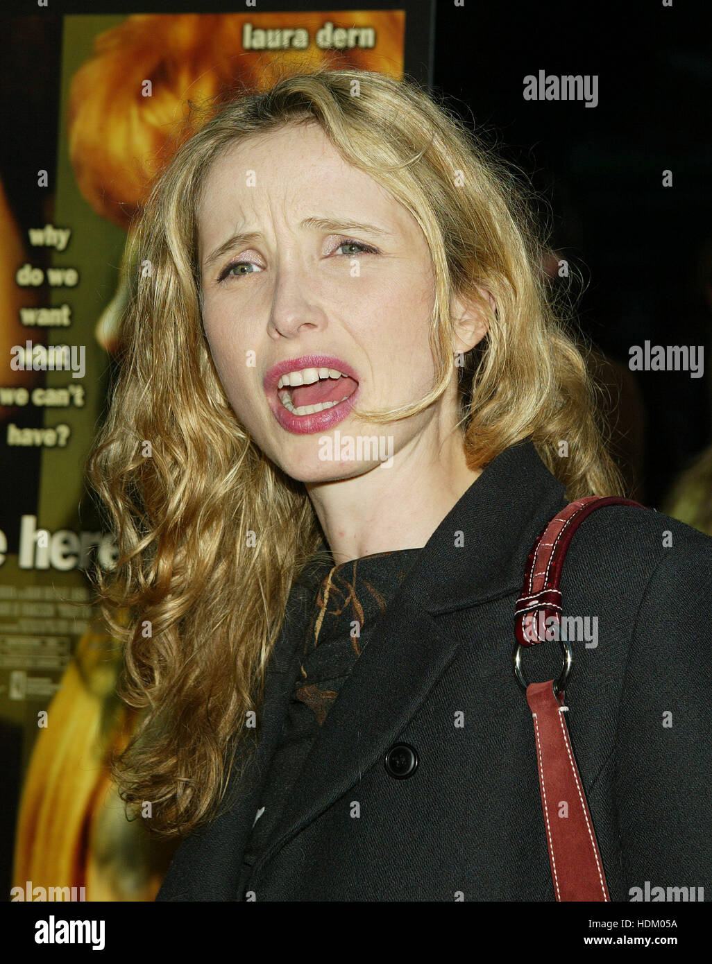Actress Julie Delpy at the premiere for the film, "We Don't Live Here ...