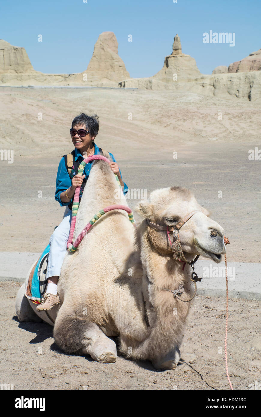 Tourist Sitting on Camel at Rest Stock Photo - Alamy