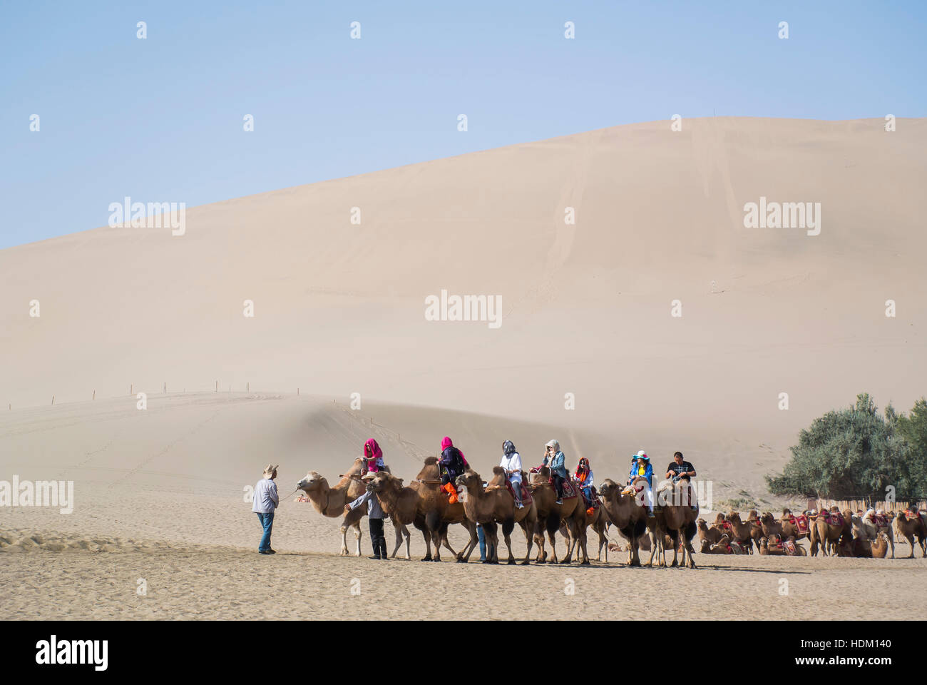 Tourists Awaiting Camel Ride, Gobi Desert Stock Photo - Alamy