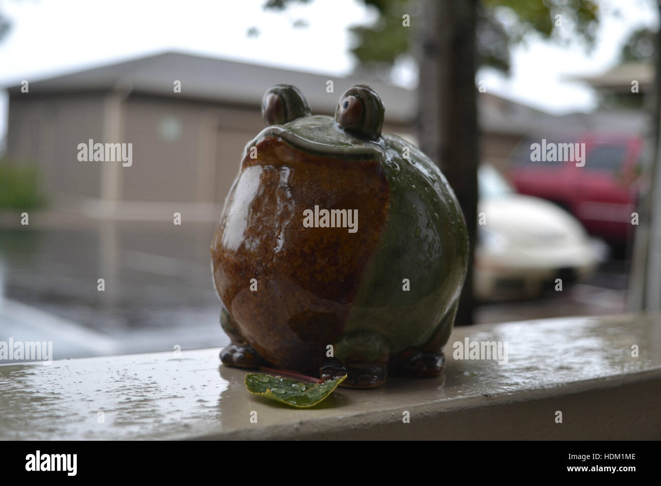 A rainy picture of a frog Stock Photo - Alamy