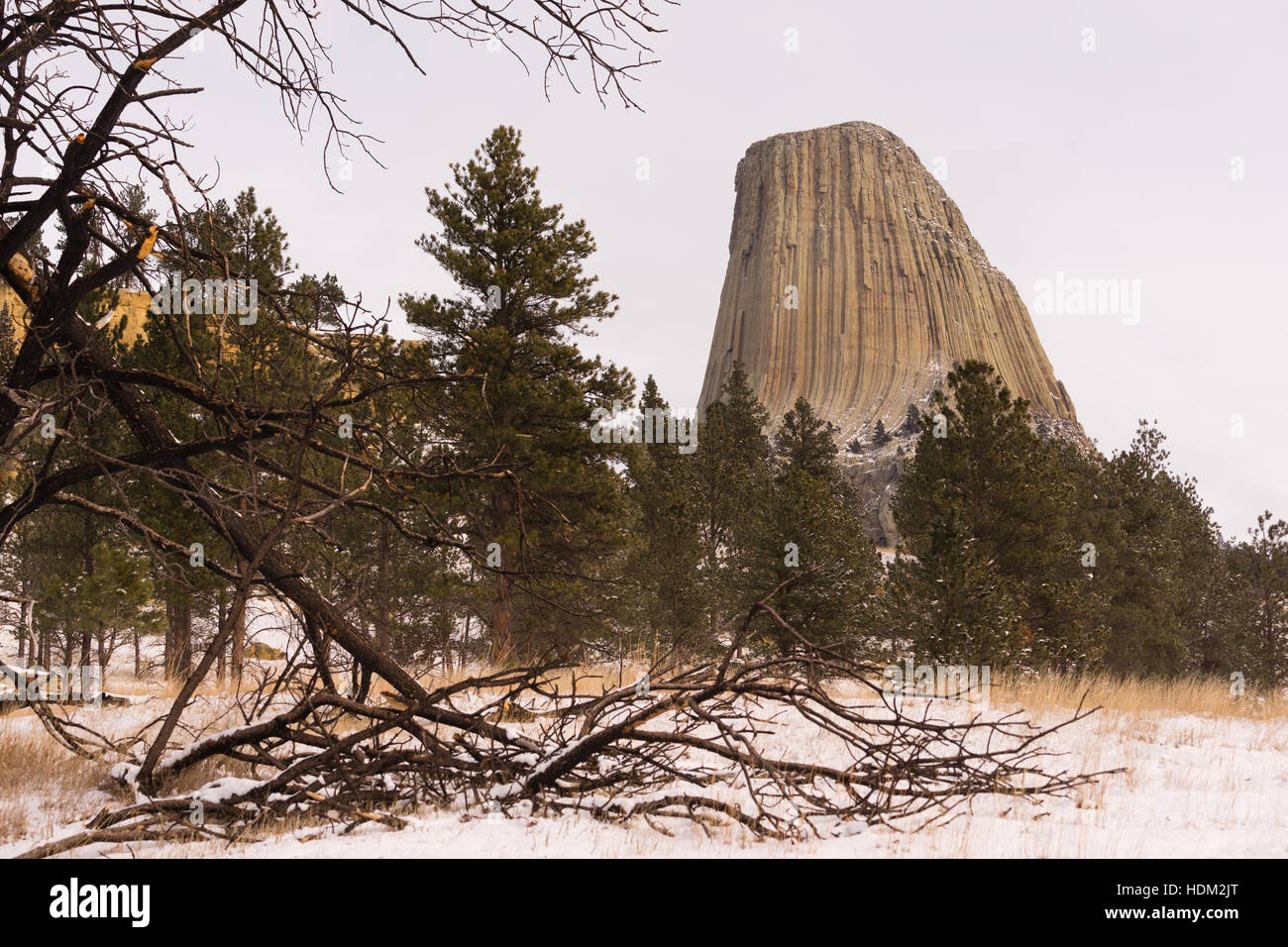 Devils tower wyoming hi-res stock photography and images - Alamy