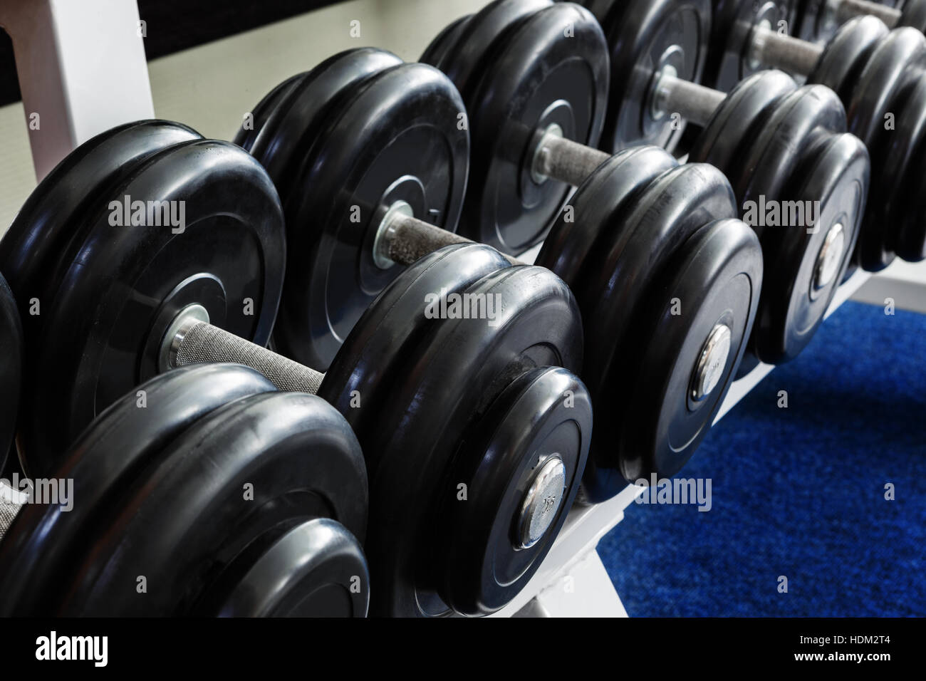 Heavy sports dumbbells in modern sports club Stock Photo - Alamy
