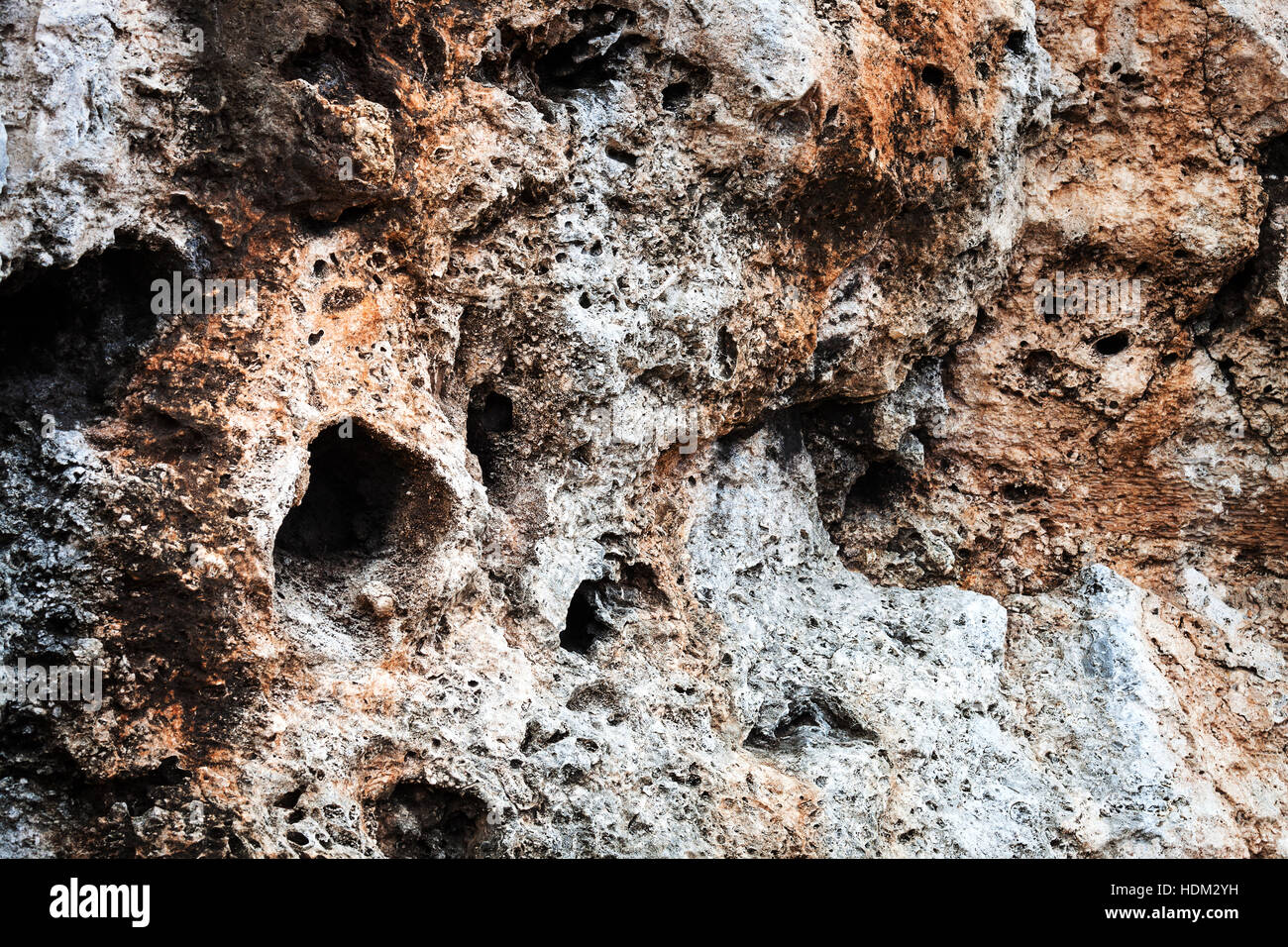 large stone with holes close up Stock Photo - Alamy