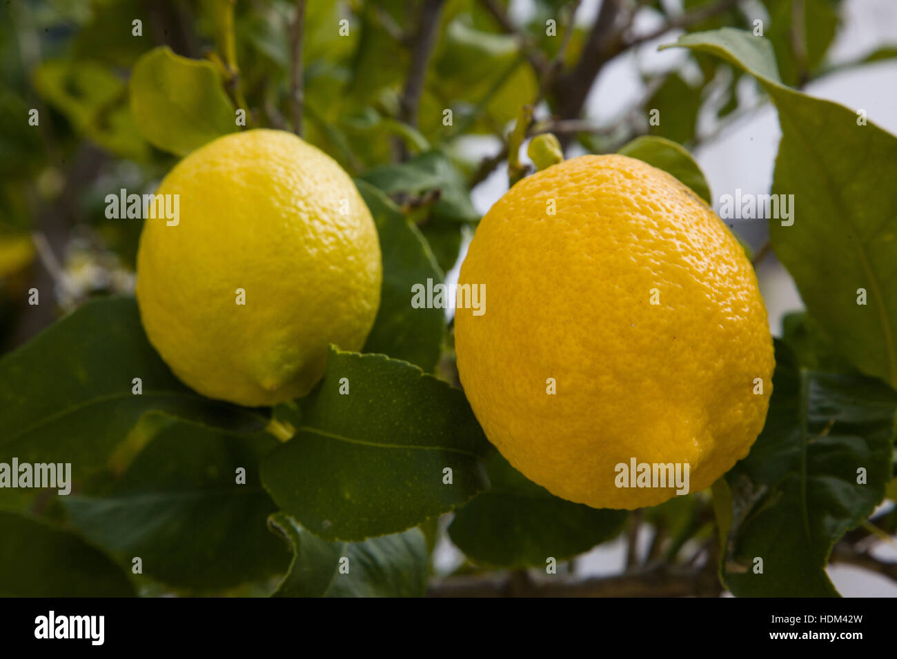 Beauty of the spain hi-res stock photography and images - Alamy