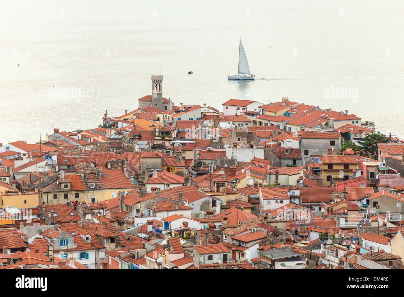 Rooftops of Piran townwith a bright blue sea in the background, Slovenia Stock Photo - Alamy