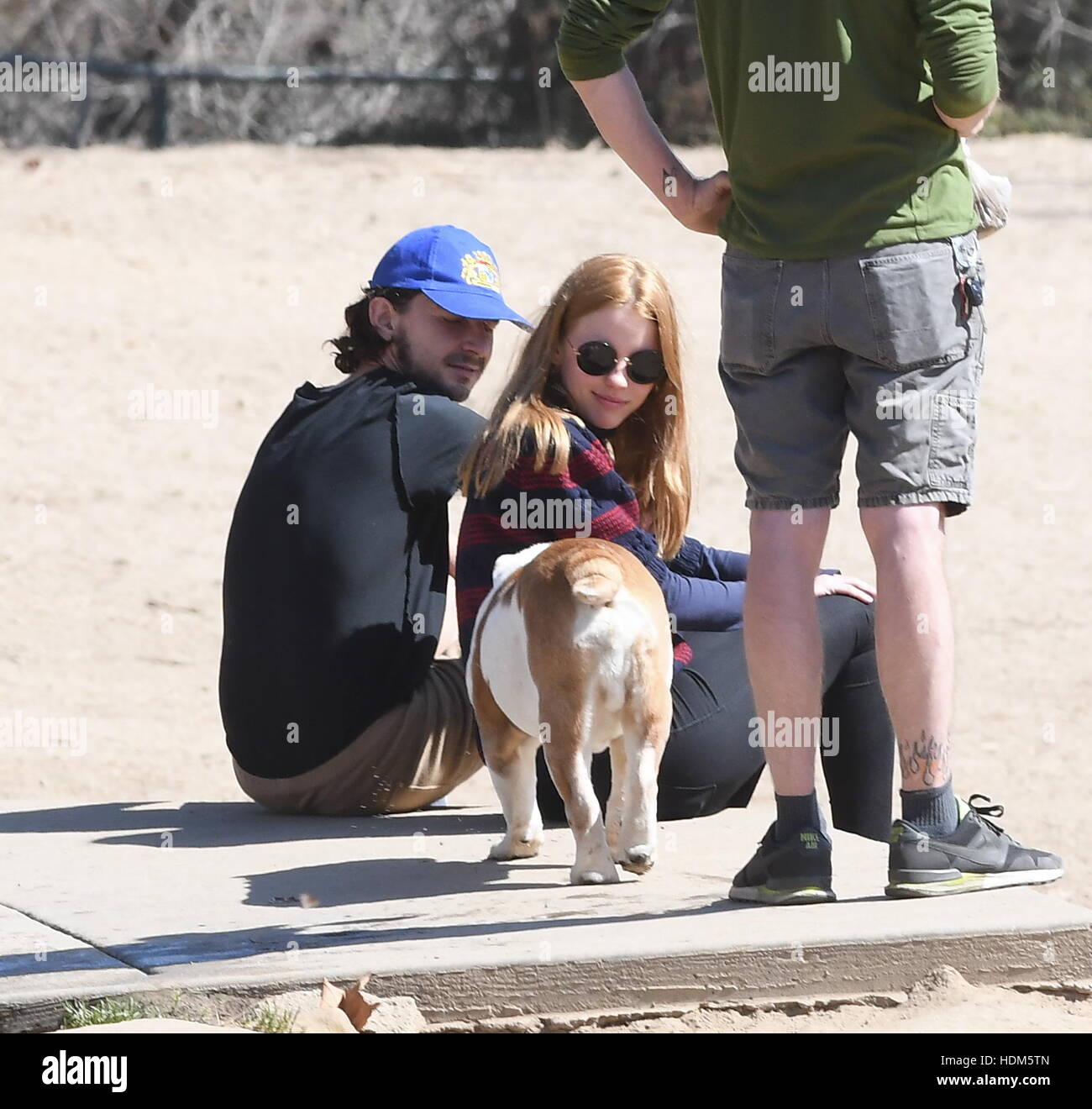 Newly weds Shia LaBeouf and Mia Goth out at a park with their bulldog ...