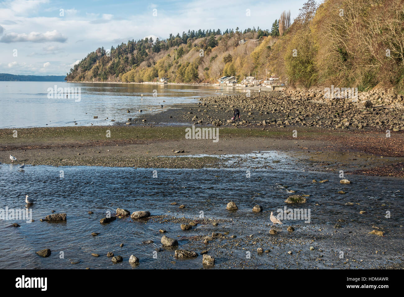 Washington in the fall hi-res stock photography and images - Alamy