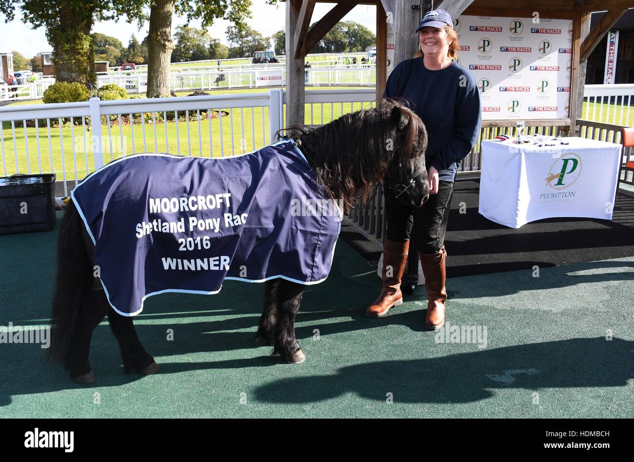 Pictured this afternoon - 17/10/16 Forget about the Grand National ...