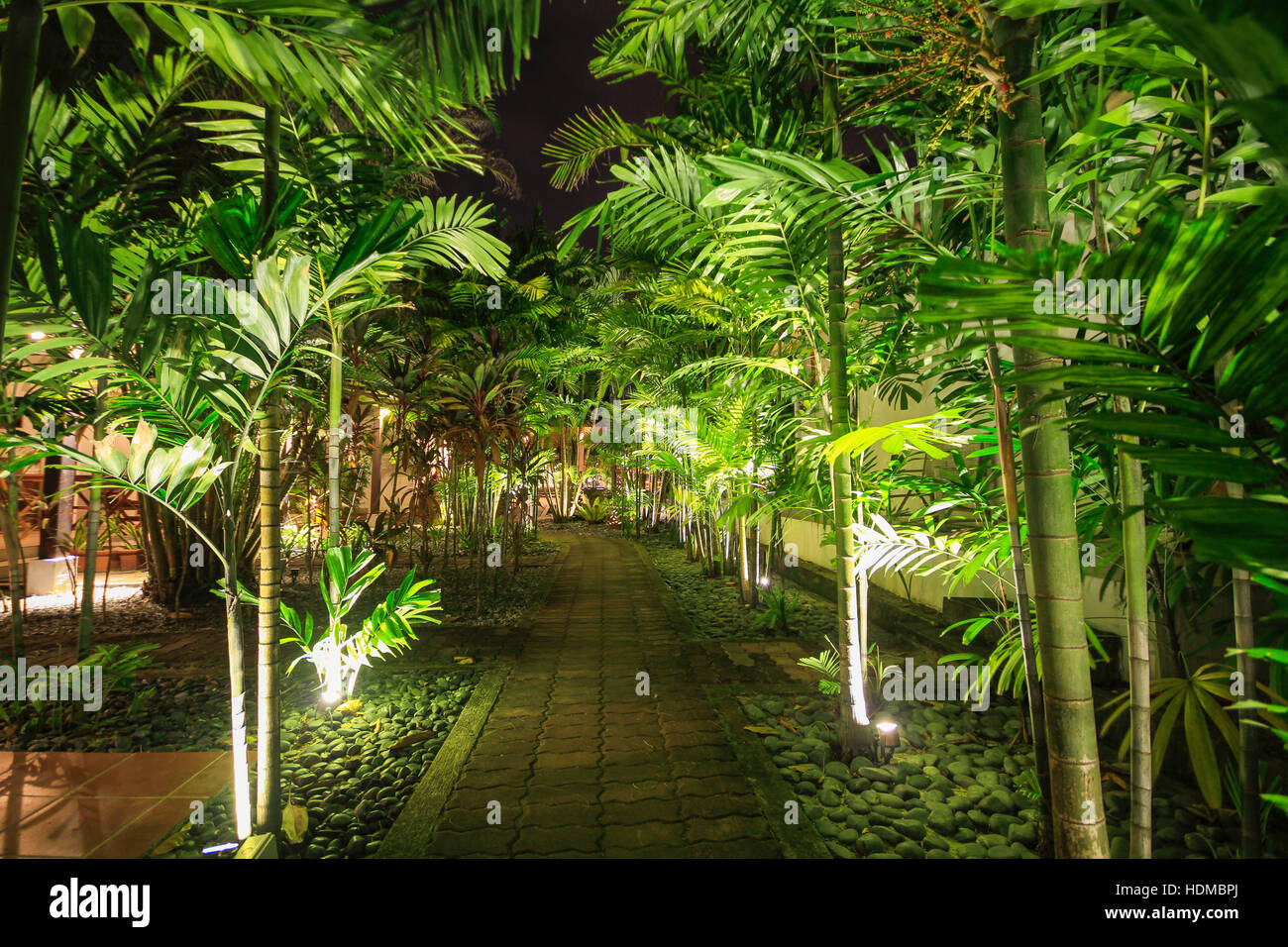 Lighted path in Langkawi, Malaysia Stock Photo - Alamy