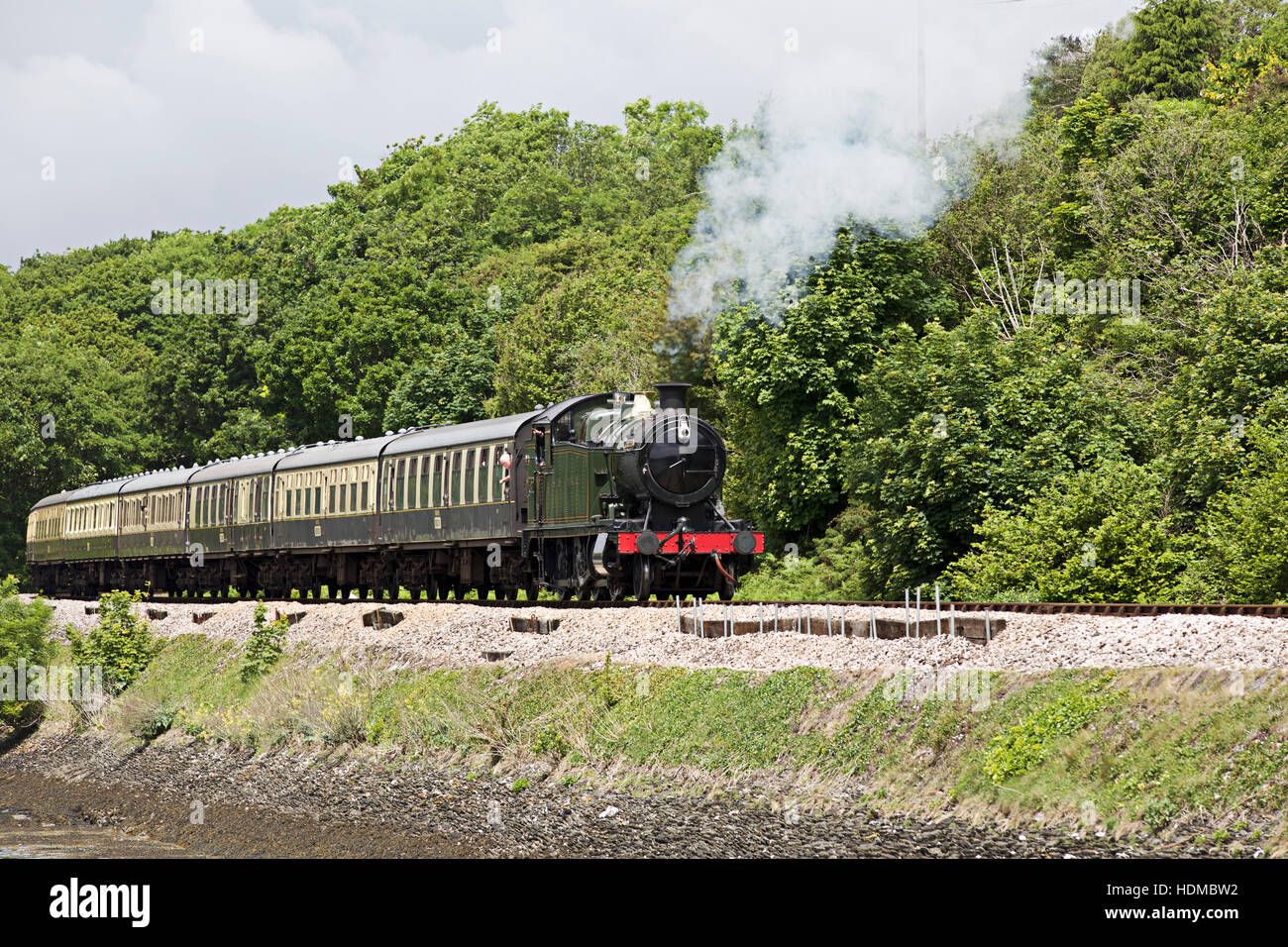Steam train running along the banks of the River Dart, Devon, UK Stock ...
