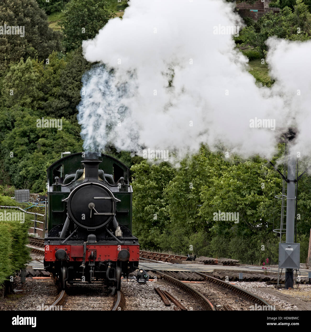A preserved steam locomotive in steam. Devon, UK Stock Photo - Alamy