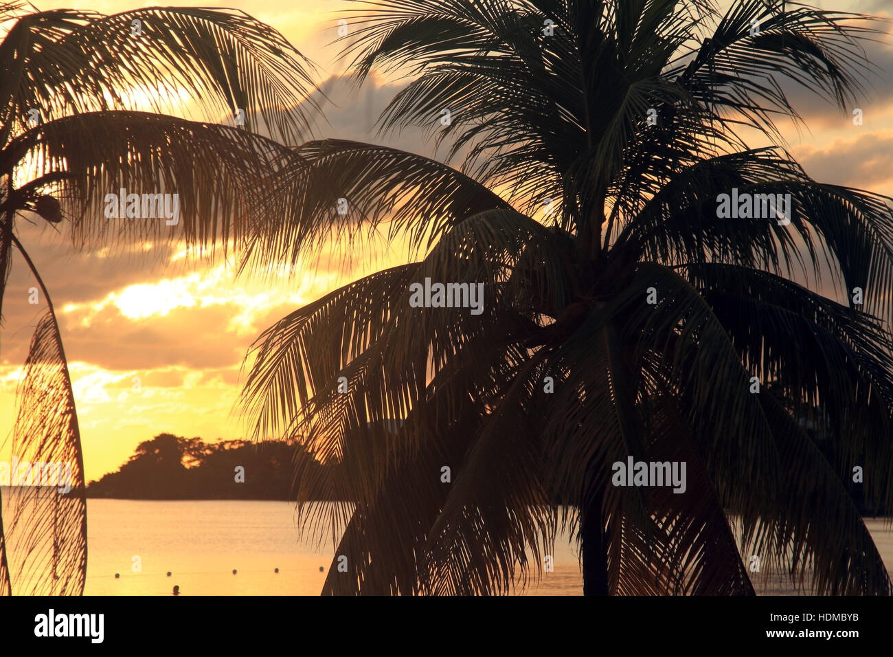 Jamaica beach sunset hi-res stock photography and images - Alamy