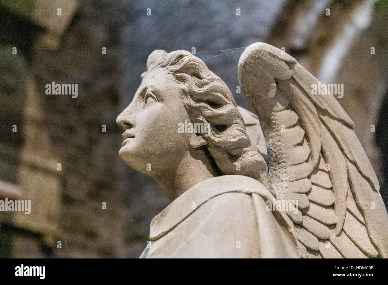 Angel statue hi-res stock photography and images - Alamy