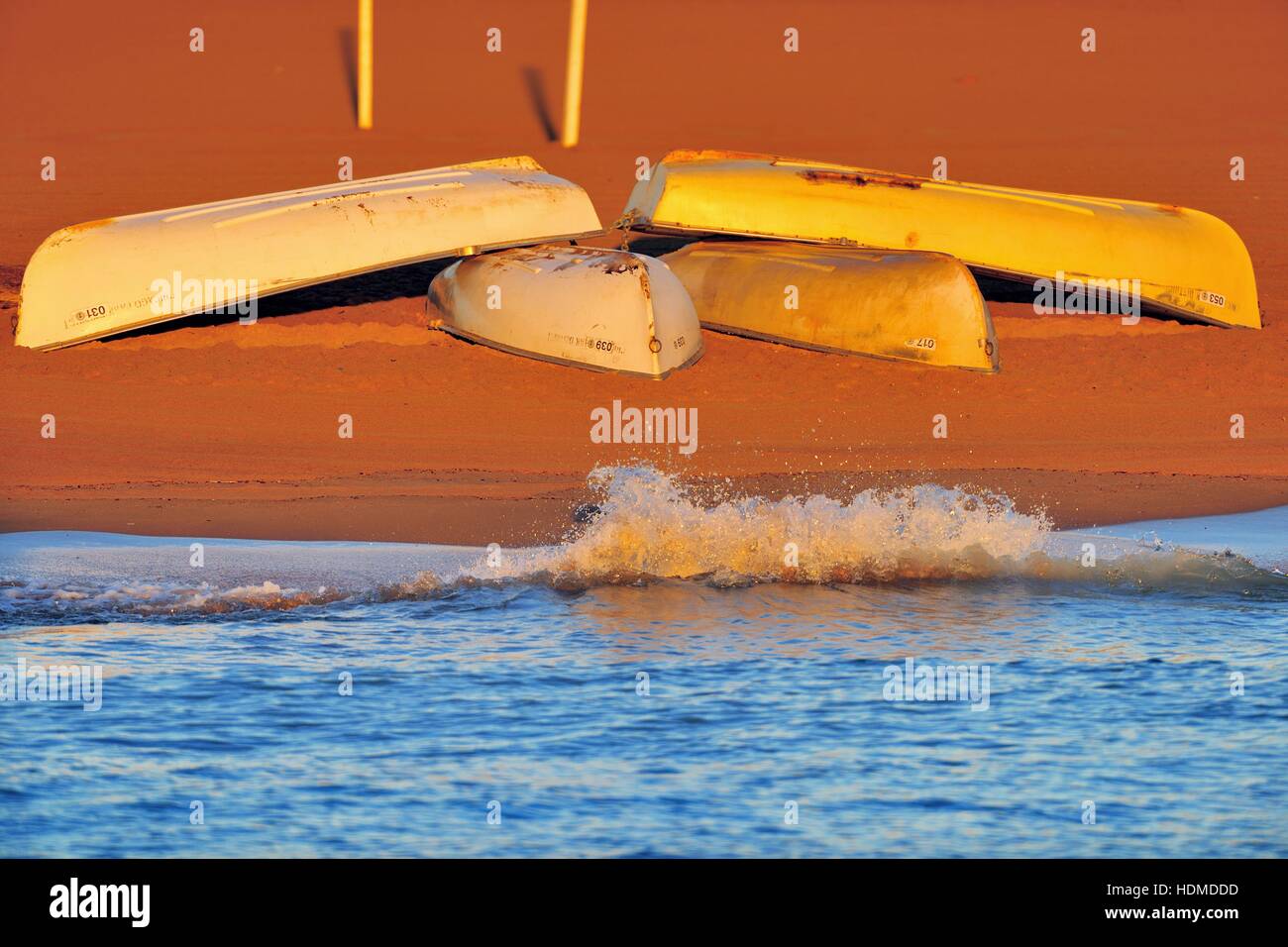 Margaret taylor burroughs hi-res stock photography and images - Alamy