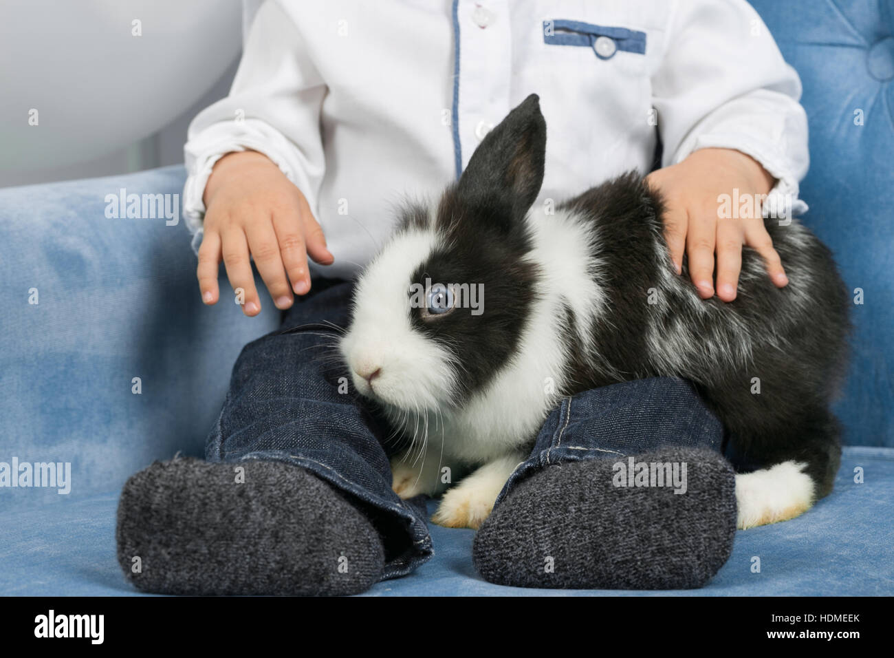Little boy hugging a furry rabbit, sitting in the armchair Stock Photo ...