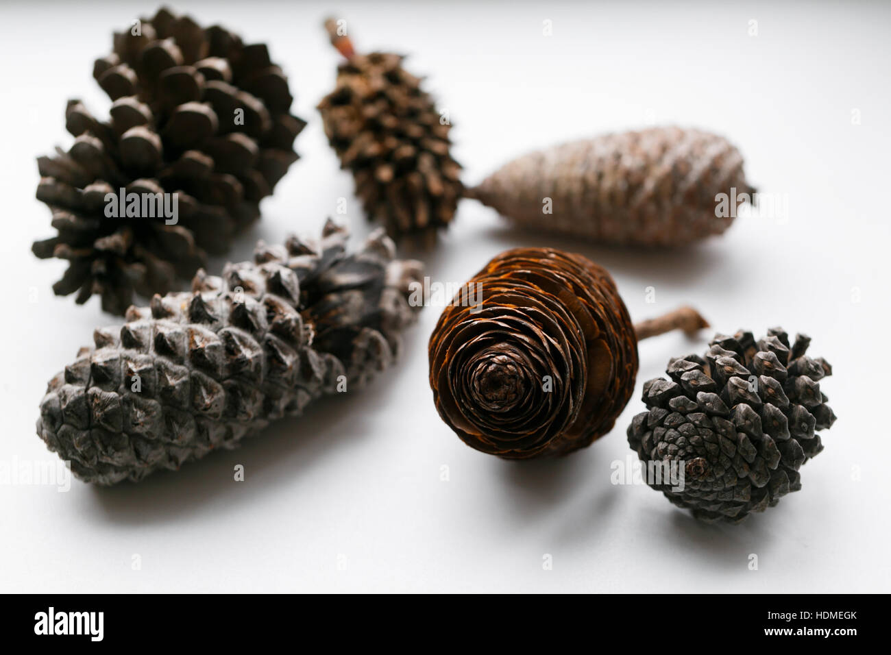 Pine cone set different views on white Stock Photo - Alamy