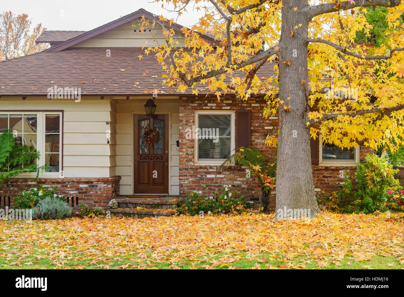 Maple house hi-res stock photography and images - Alamy