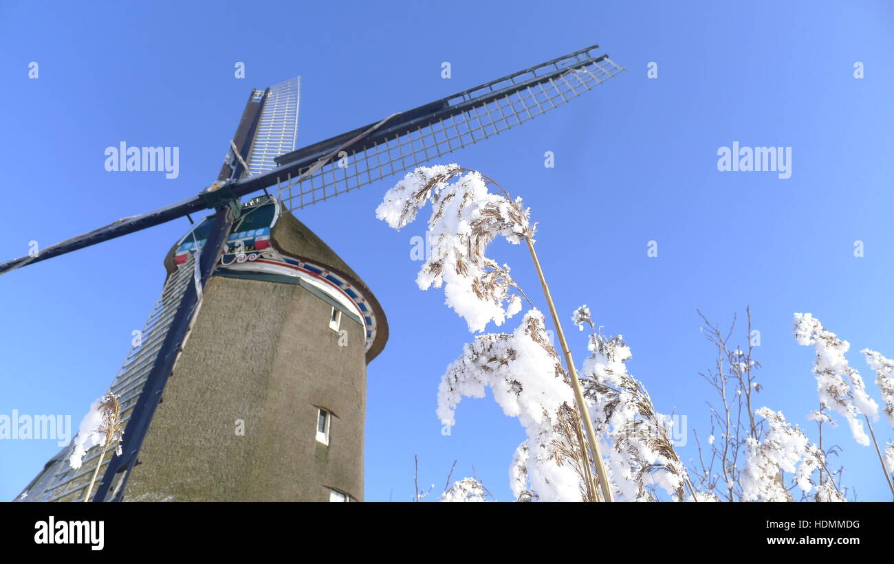 windmill in snow in Dutch winterlandscape Stock Photo - Alamy