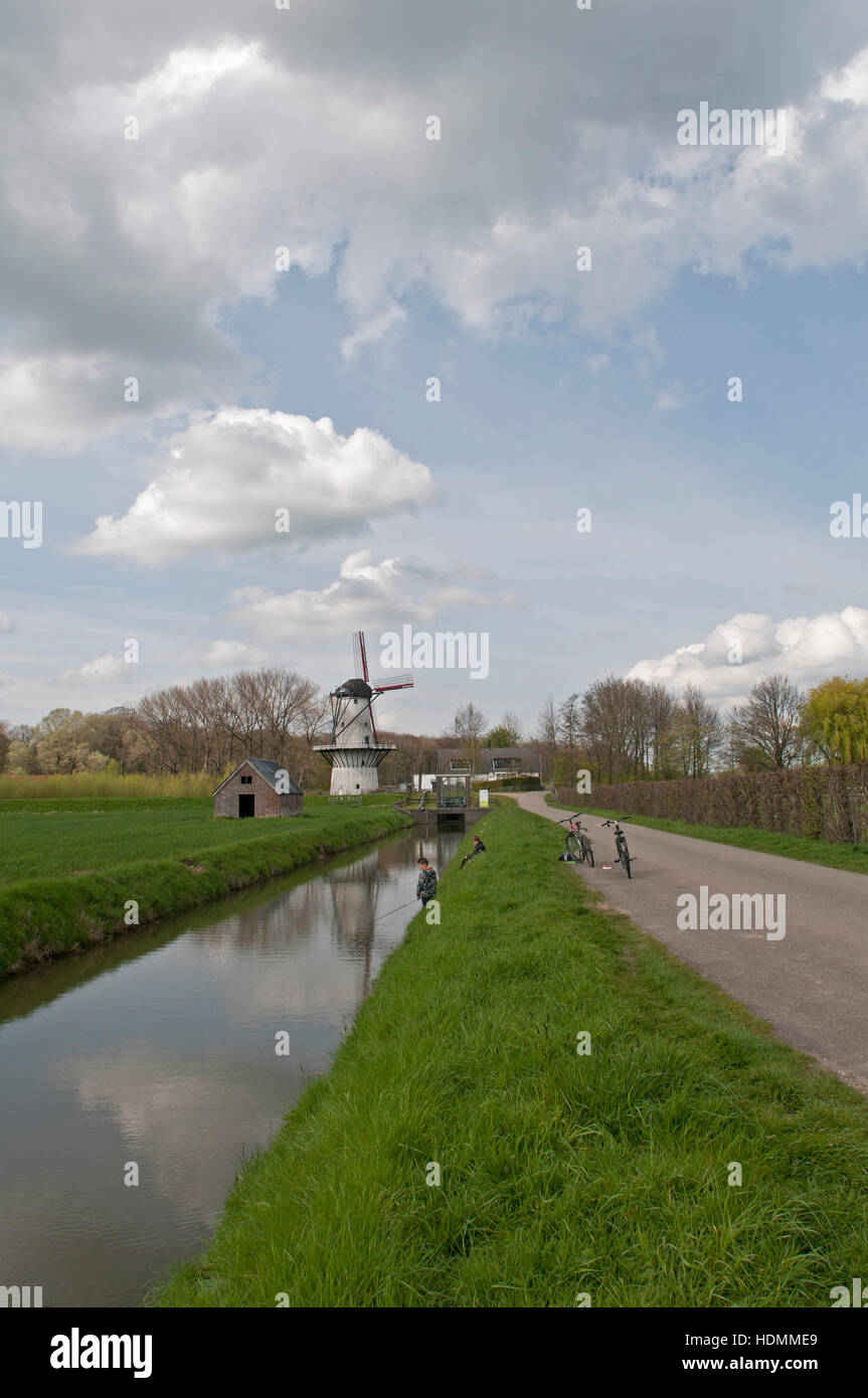 A beautifull windmill in landscape The Netherlands Stock Photo - Alamy