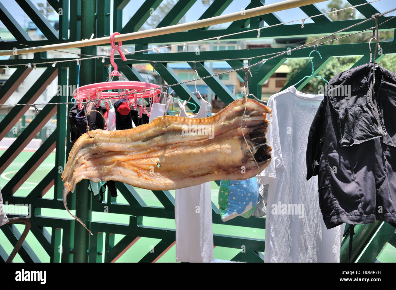 Curing fish on a washing line Stock Photo - Alamy