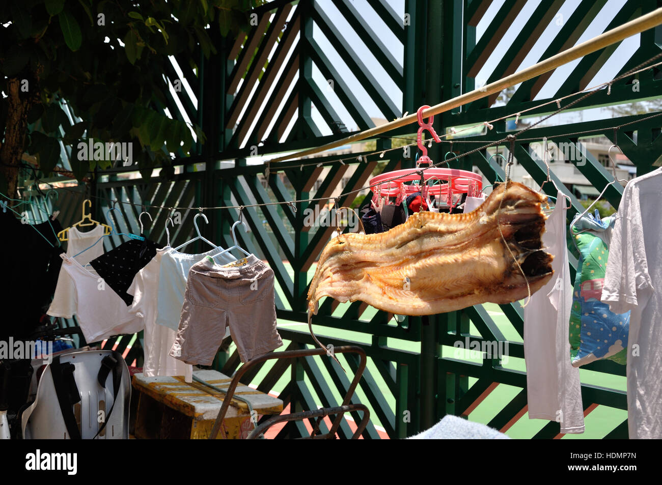 Drying fish on a washing line Stock Photo - Alamy