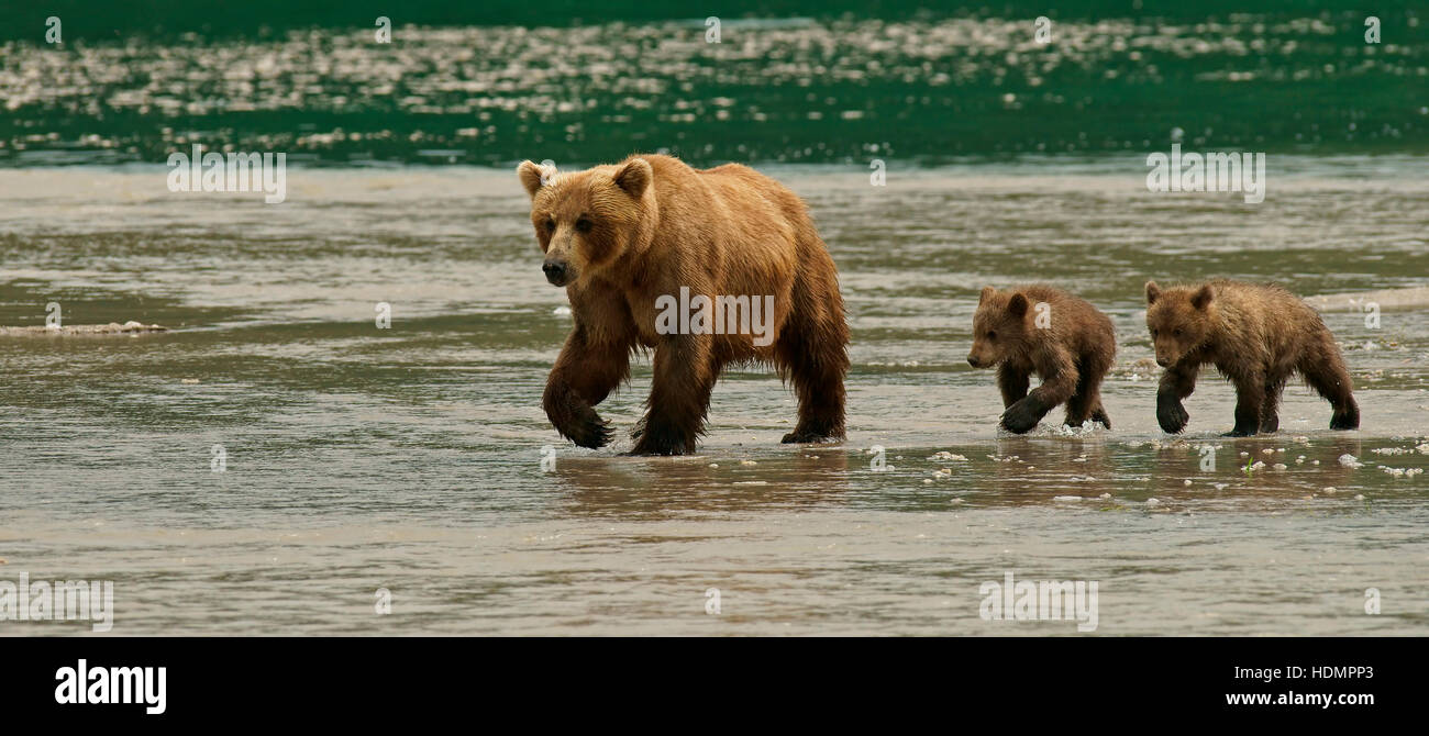 Russian river crossing hi-res stock photography and images - Alamy