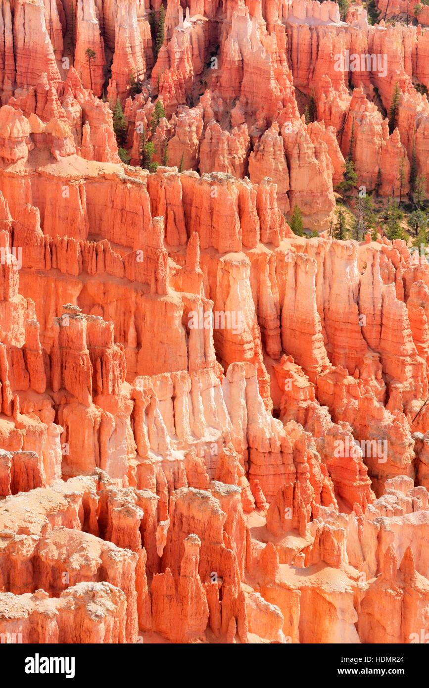 Red eroded limestone columns, Bryce Canyon National Park, Sunrise Point ...