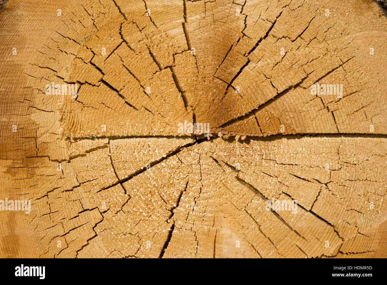 Xylographs hi-res stock photography and images - Alamy