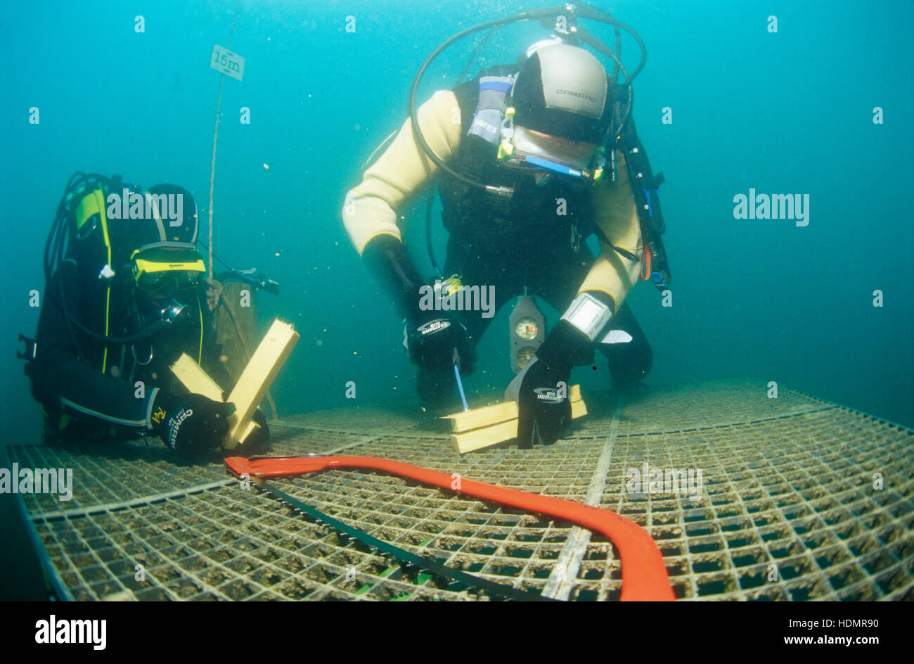 Underwater work, Attersee Lake, Upper Austria, Europe Stock Photo - Alamy