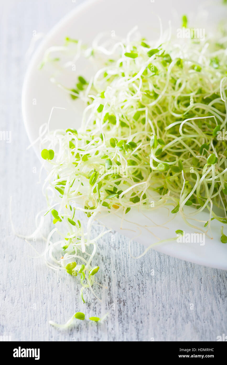 fresh clover sprouts healthy food Stock Photo - Alamy