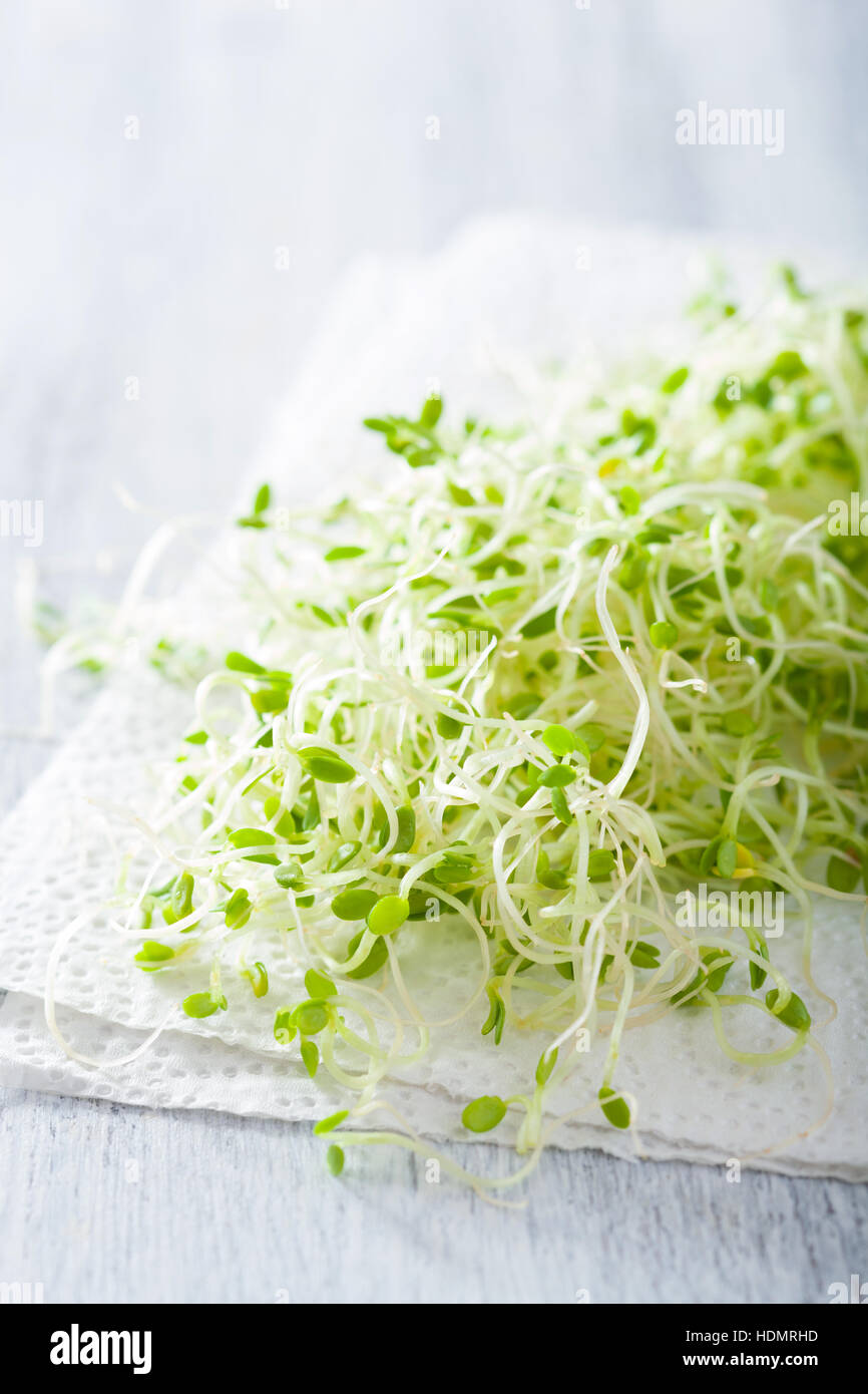 fresh clover sprouts healthy food Stock Photo - Alamy