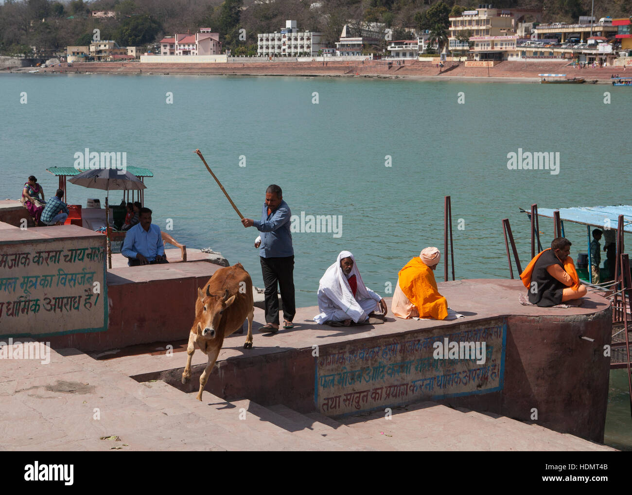 Man with cow hi-res stock photography and images - Alamy