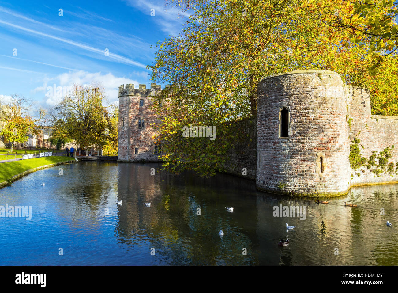 The Bishop palace moat at Wells, Somerset Stock Photo - Alamy