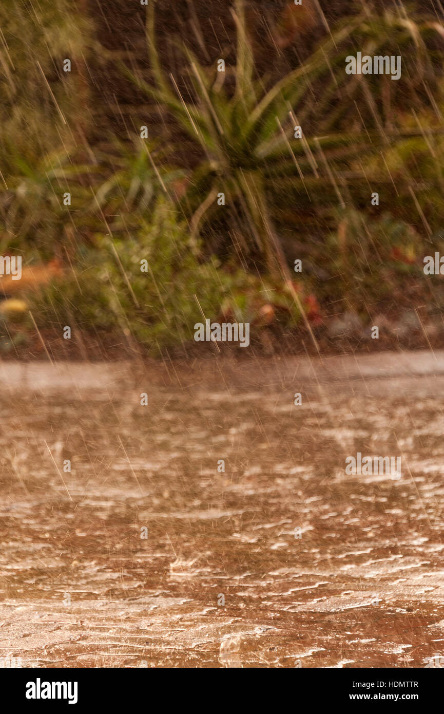 Rain seen in Harare, Zimbabwe Stock Photo - Alamy