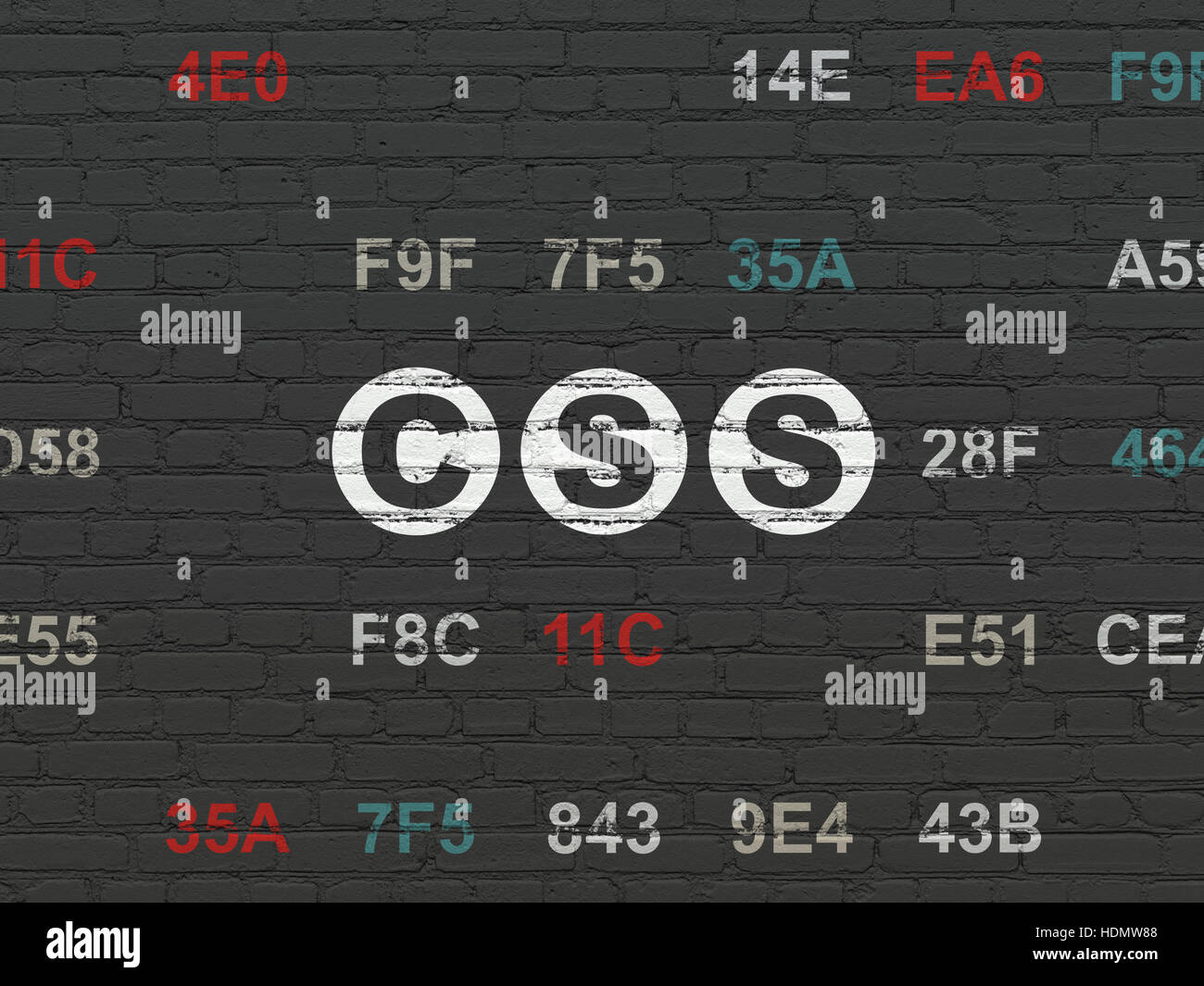 Software concept: Css on wall background Stock Photo - Alamy