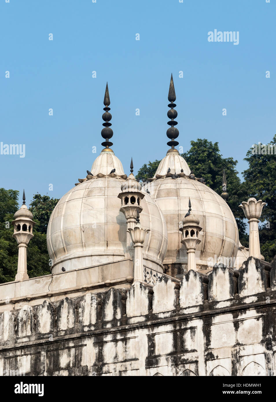 Moti masjid mosque hi-res stock photography and images - Alamy