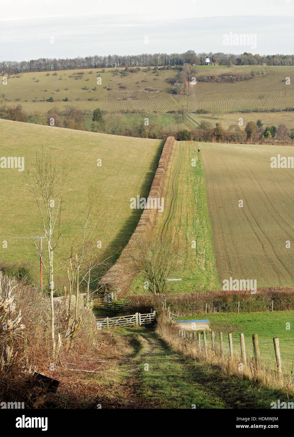 An English Rural Landscape with track through a field in the Chiltern ...