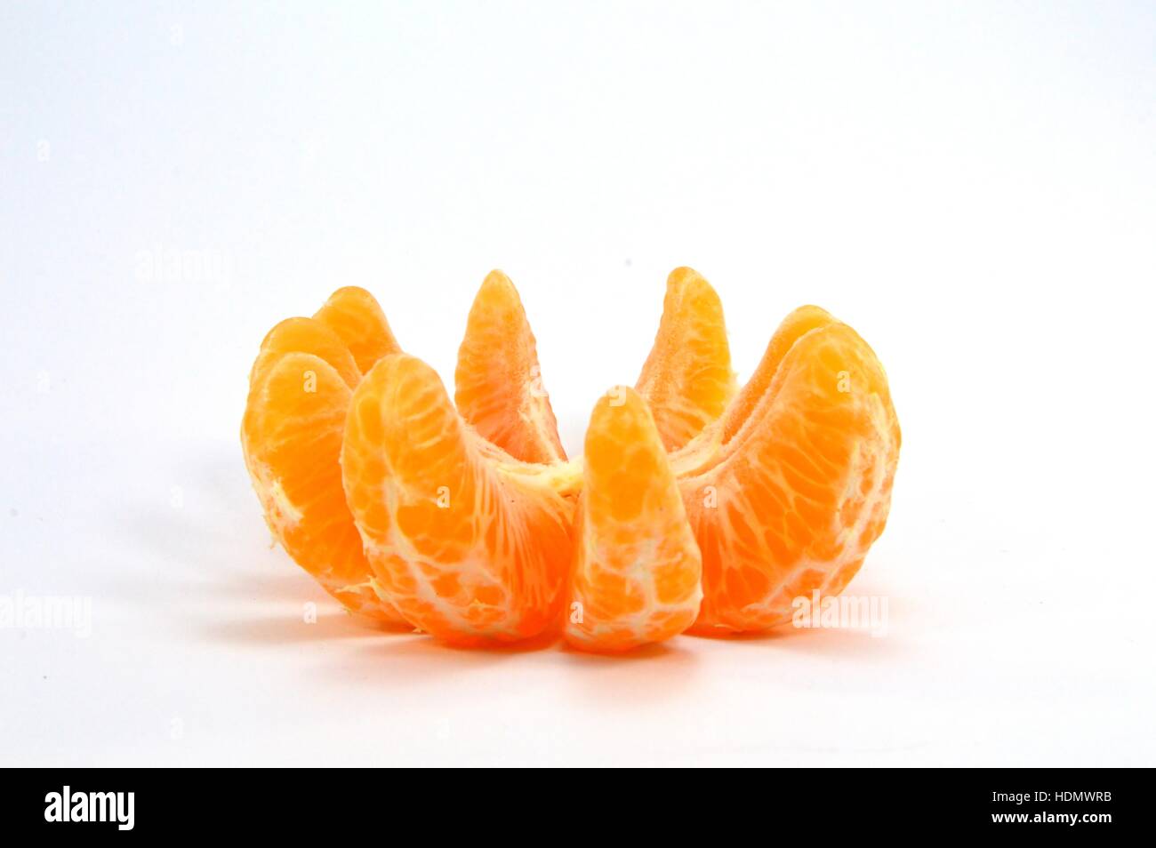 Parts of a leaf hi-res stock photography and images - Alamy