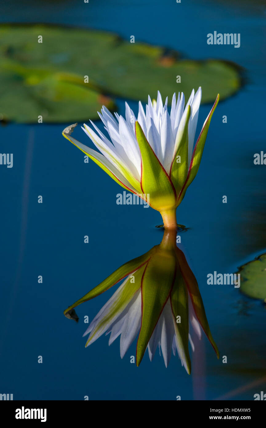 Open and close hi-res stock photography and images - Alamy