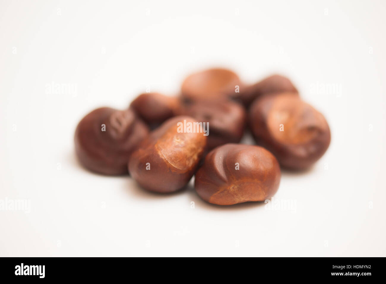 chestnut and oak acorns Stock Photo - Alamy