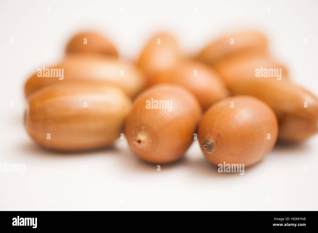 chestnut and oak acorns Stock Photo - Alamy