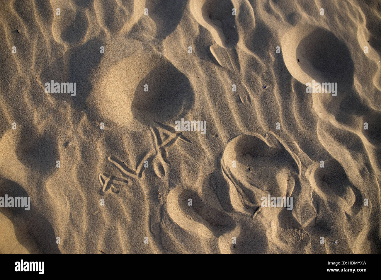 Name written in a sand on beach, Sicily, Italy Stock Photo - Alamy
