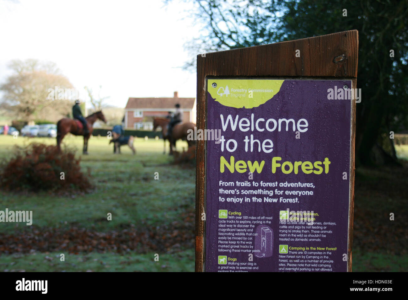 Dogs welcome sign hi-res stock photography and images - Alamy