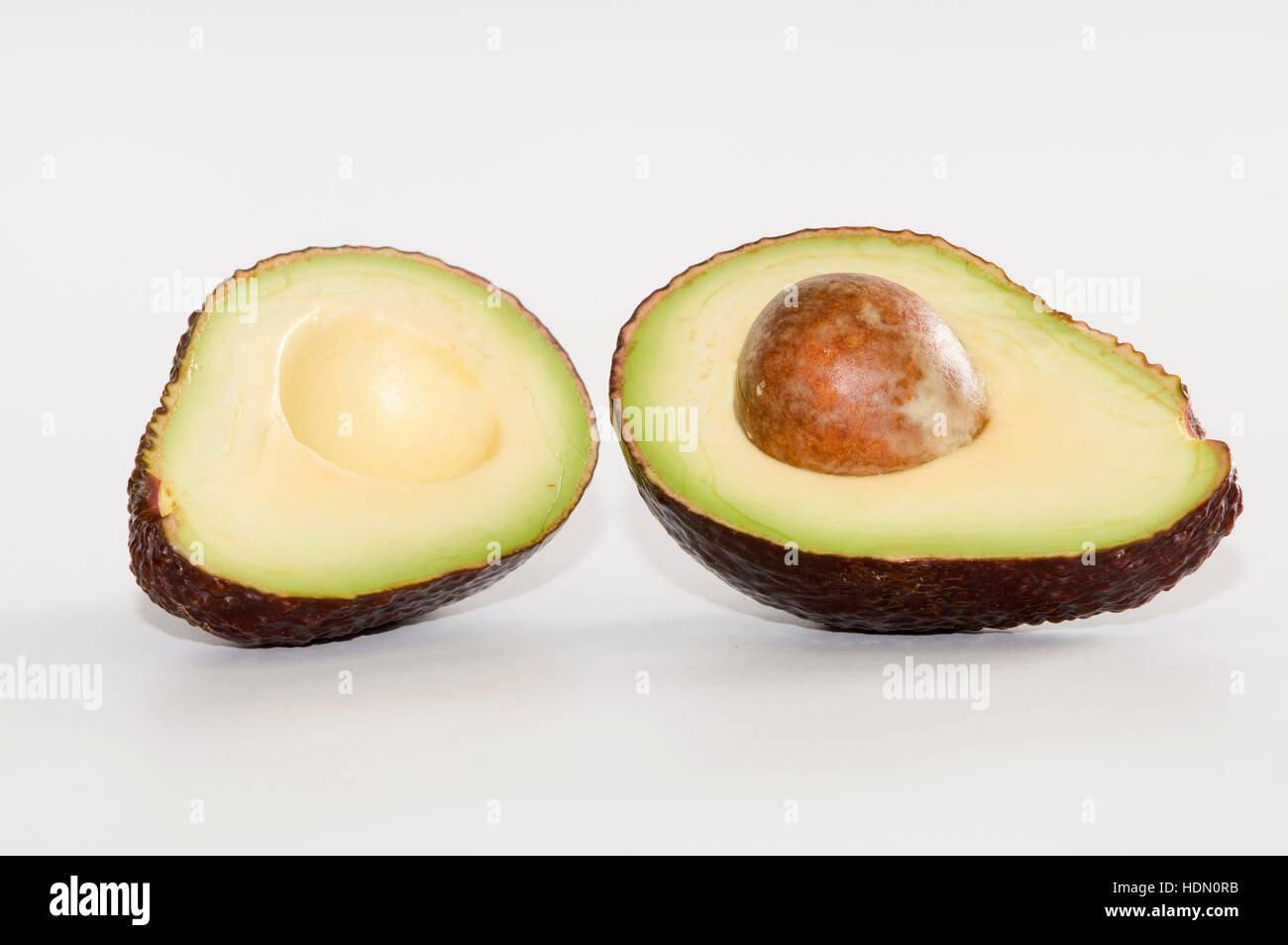 Persea americana seed hi-res stock photography and images - Alamy